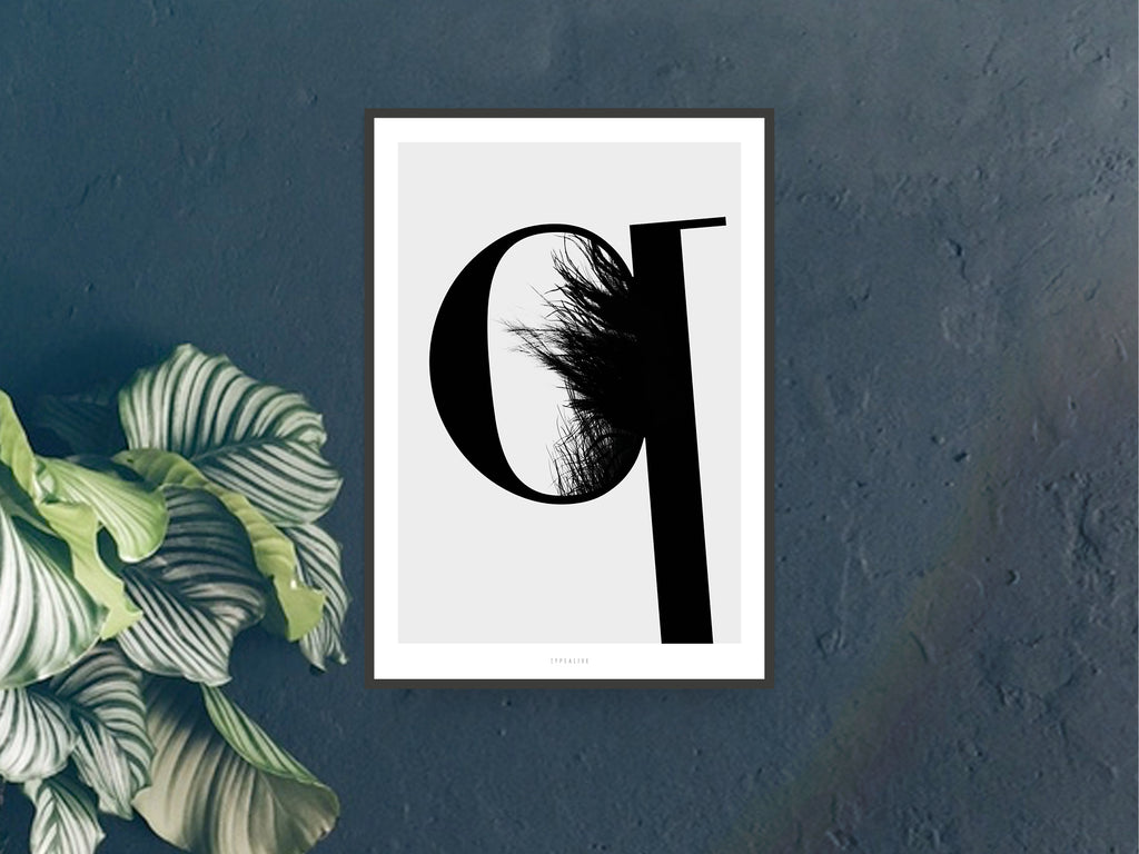 Print / ABC Flying Letters - Q – typealive